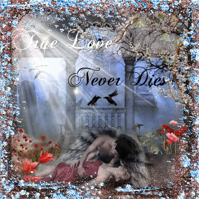 True love GIF - Find on GIFER