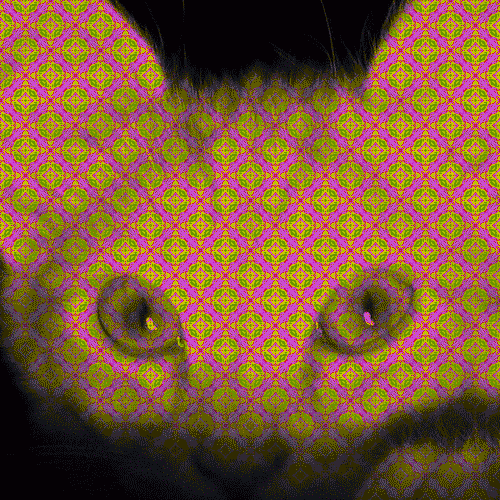 Cat trippy new GIF - Find on GIFER