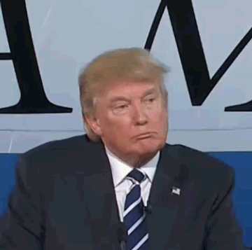 GIF donald trump - animated GIF on GIFER