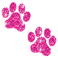 GIF paws transparent - animated GIF on GIFER
