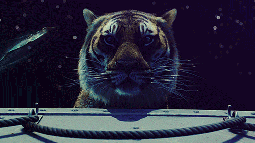 Beautiful cute night GIF - Find on GIFER