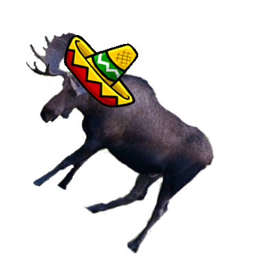 Moose transparent GIF - Find on GIFER