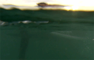 GIF physics science brian cox - animated GIF on GIFER