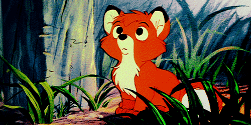 Fox disney GIF - Find on GIFER