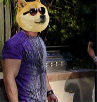 Face look GIF - Find on GIFER