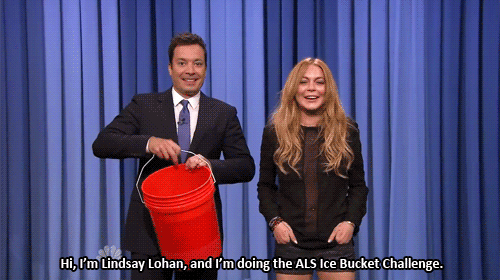 GIF tonight show - animated GIF on GIFER