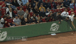 Sports baseball mlb GIF - Find on GIFER