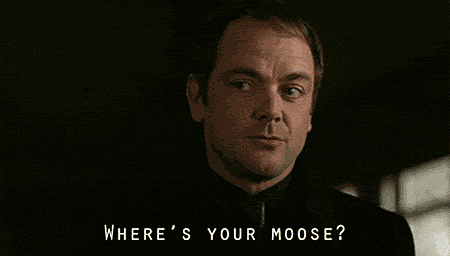 Canada GIF - Find on GIFER