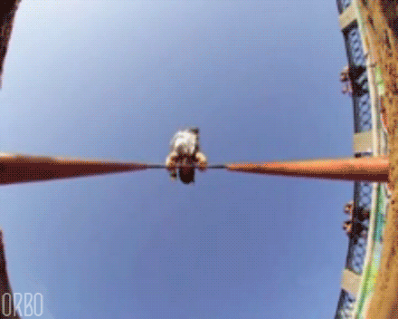 Loop beach barspinnin GIF - Find on GIFER