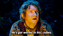 The hobbit GIF - Find on GIFER