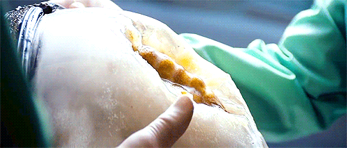 GIF movies alien - animated GIF on GIFER