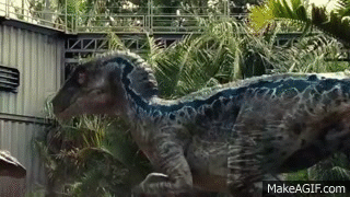 GIF yasss - animated GIF on GIFER