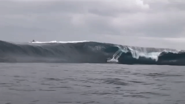 GIF sports fail basketball - animated GIF on GIFER