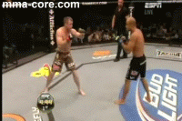 Ufc blog GIF - Find on GIFER