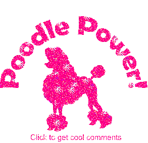 Poodle transparent GIF - Find on GIFER