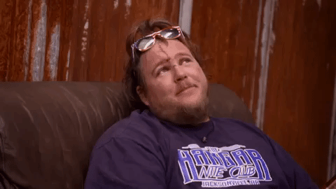 GIF party down south - animated GIF on GIFER