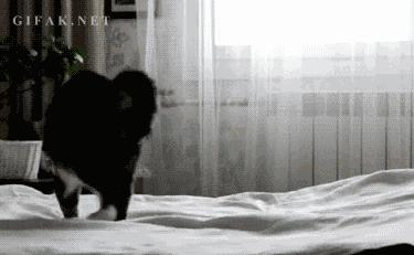Wtf GIF - Find on GIFER