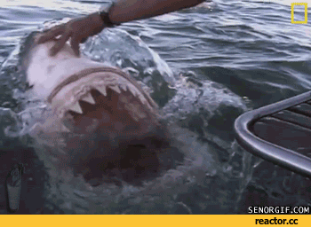 Attack GIF - Find on GIFER