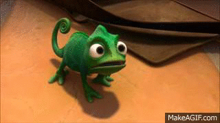 Pascal GIF - Find on GIFER