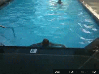 Pool GIF - Find on GIFER