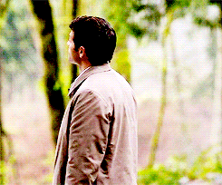 GIF reaction - animated GIF on GIFER