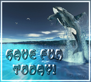 Fun GIF - Find on GIFER