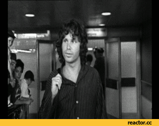 GIF concert - animated GIF on GIFER