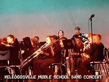 Concert GIF - Find on GIFER