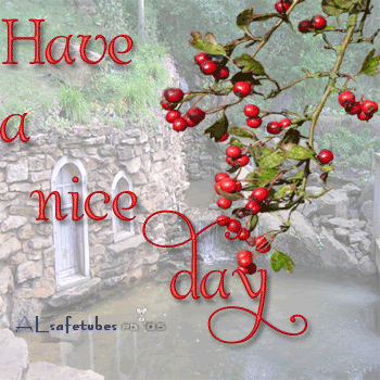 Nice GIF - Find on GIFER