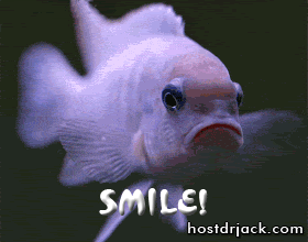 Smiling GIF - Find on GIFER