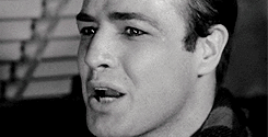 GIF maudit i hate your stupid face - animated GIF on GIFER