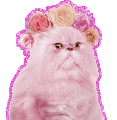 Transparent angry tumblr GIF - Find on GIFER