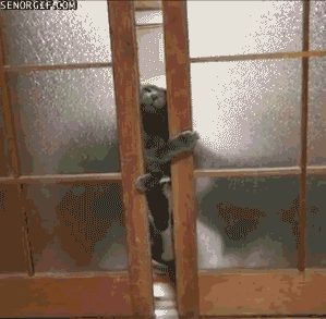 Reaction meme for fun GIF - Find on GIFER
