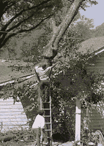 Fail GIF - Find on GIFER