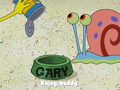 Missing identity spongebob squarepants season 3 GIF - Find on GIFER