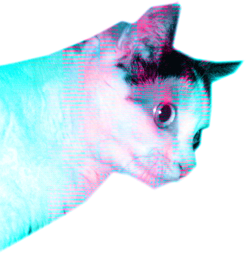 Cat trippy GIF - Find on GIFER