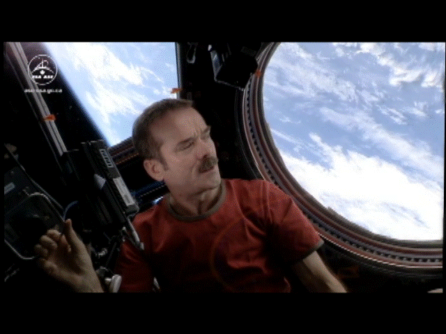 Cinemagraph world first GIF - Find on GIFER