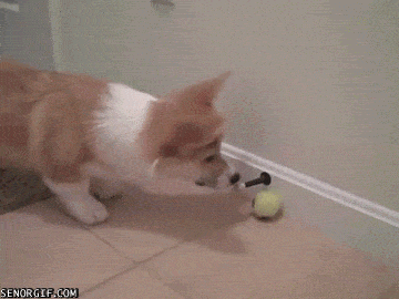 Perfect loop GIF - Find on GIFER