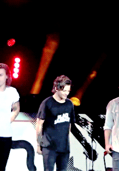 GIF one direction concert - animated GIF on GIFER