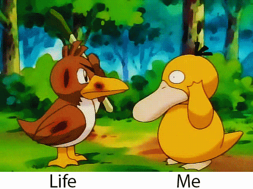 GIF pokemon life - animated GIF on GIFER