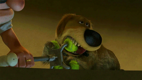 GIF up animation film - animated GIF on GIFER