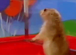 Reaction cute GIF - Find on GIFER