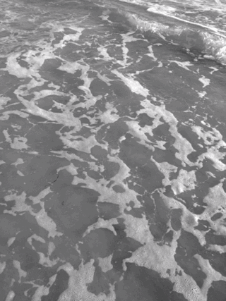 Water nature wave GIF - Find on GIFER