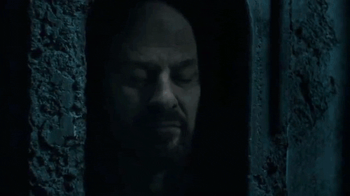 GIF game of thrones - animated GIF on GIFER