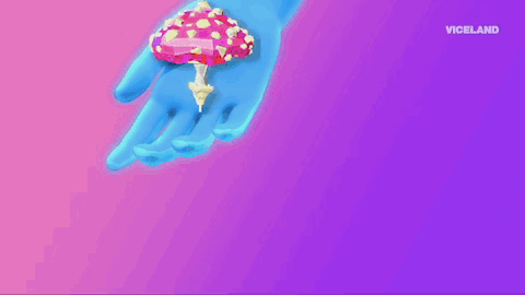 GIF viceland party legends - animated GIF on GIFER