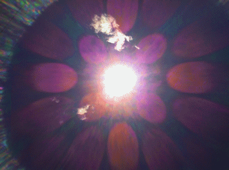 Psychedelic art trippy GIF - Find on GIFER