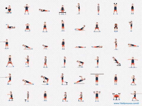 Exercises GIF - Find on GIFER