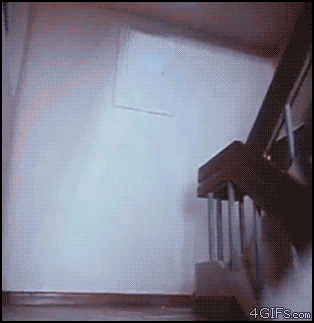 Man fight GIF - Find on GIFER