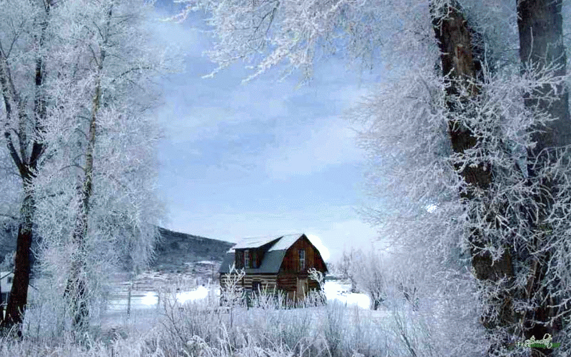 GIF natural beauty - animated GIF on GIFER