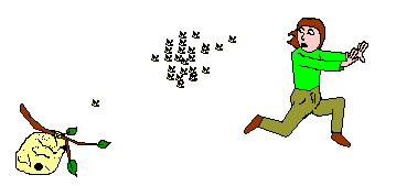 Adhd GIF - Find on GIFER